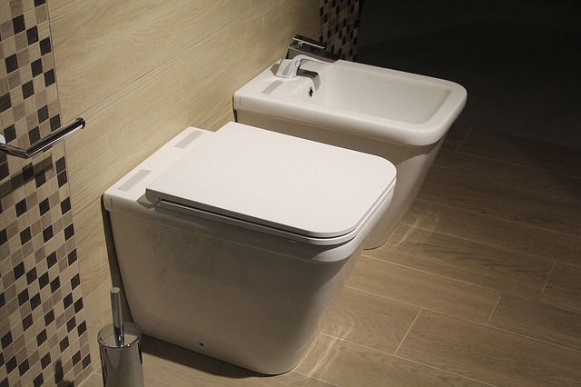 Cómo usar el bidet - 9 pasos - Casa Doncomos.com