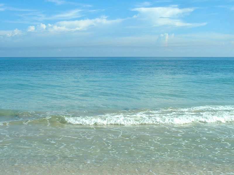 Cómo se dice el mar o la mar - 15 pasos - Educar Doncomos.com