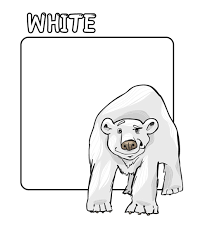 Cómo se escribe blanco en inglés - 7 pasos - Educar Doncomos.com