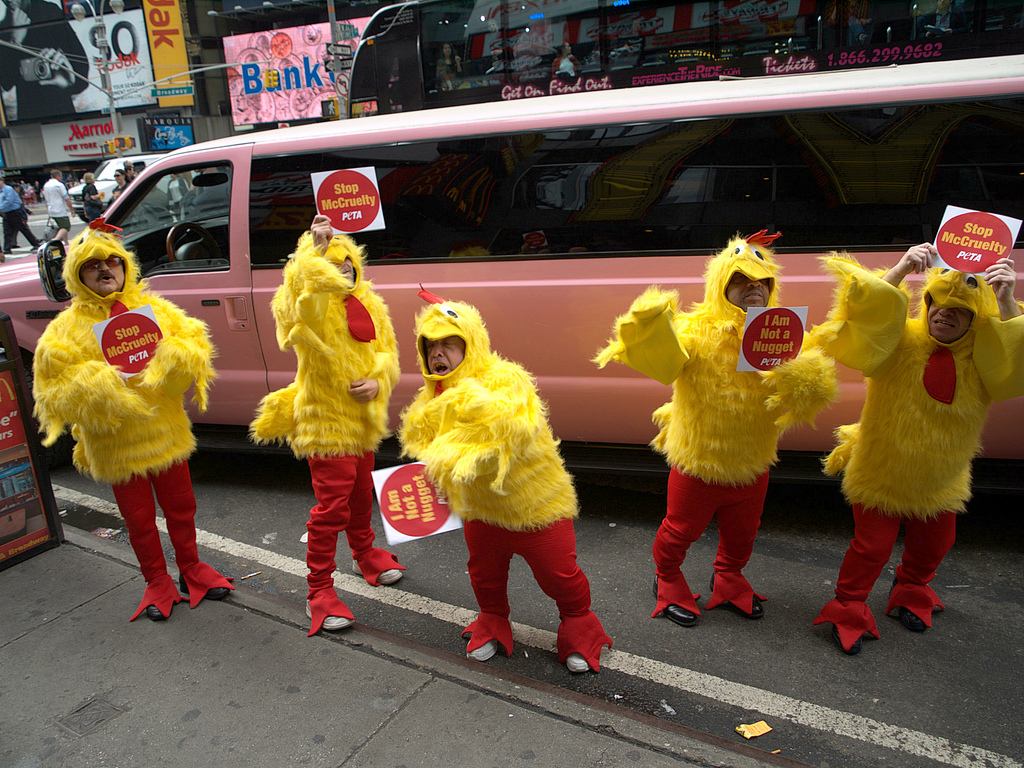 Cómo hacer un disfraz de pollo - 4 pasos - Fiesta Doncomos.com