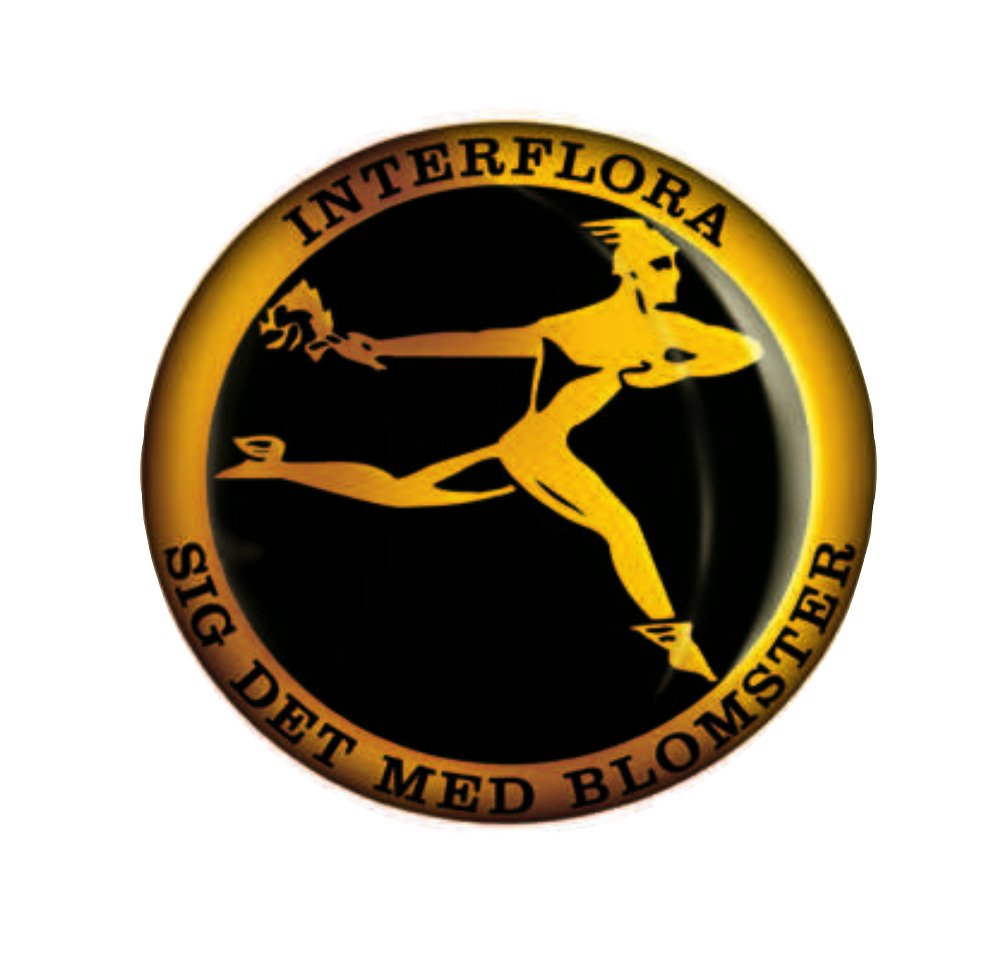 Interflora: Cómo comprar en Interflora - 7 pasos - Jardín Doncomos.com