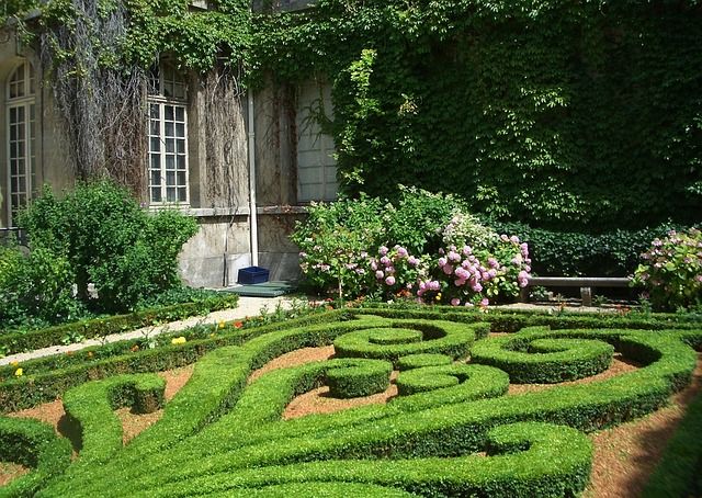 Jardín Paris – Todo lo que has de saber - 14 pasos - Jardín Doncomos.com