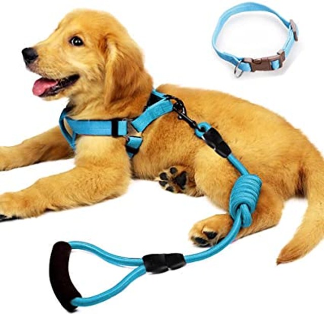 Cosméticos y Accesorios para perros - Mascotas y Animales Doncomos.com