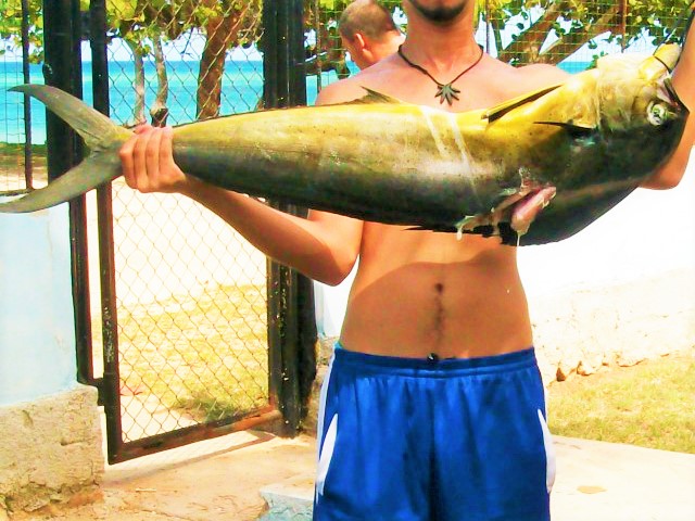 Cómo pescar en el mar - Ocio Doncomos.com