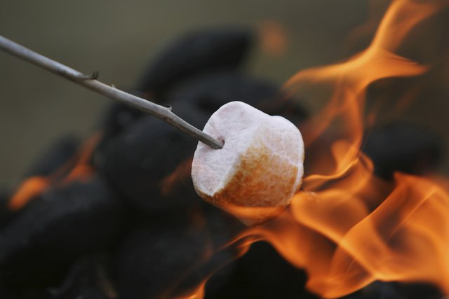 Cómo asar malvaviscos - Recetas Don Cómo