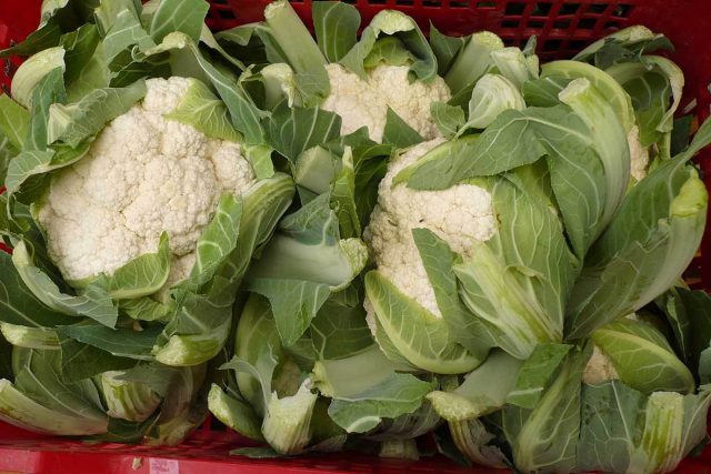 Cómo hervir coliflor - Recetas Don Cómo