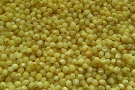 Cómo Cocinar Mijo - Recetas Don Cómo