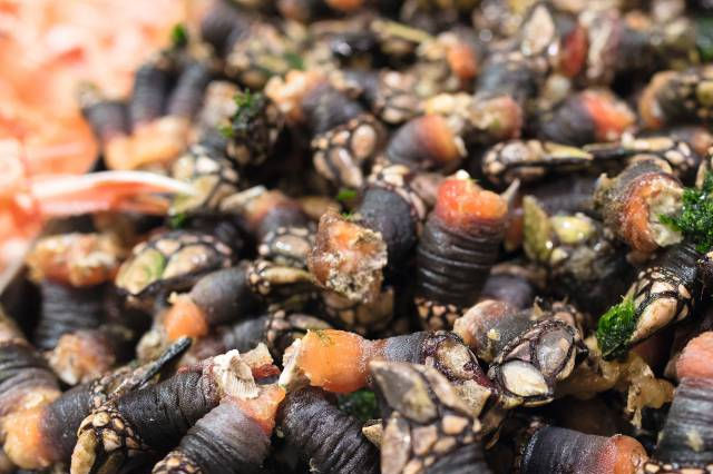 Cómo hay que comer percebes - Recetas Don Cómo
