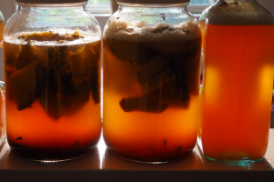 Cómo hacer tepache - 12 pasos - Recetas Doncomos.com