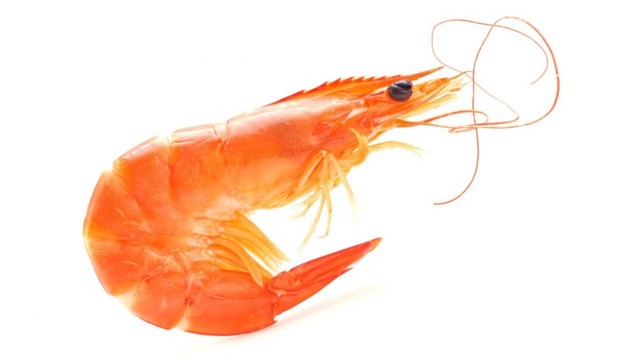 El camarón y sus diferentes recetas - Recetas Don Cómo