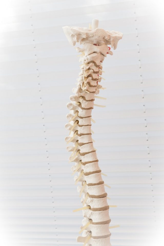 Cómo curar nervio Ciático - Salud Doncomos.com