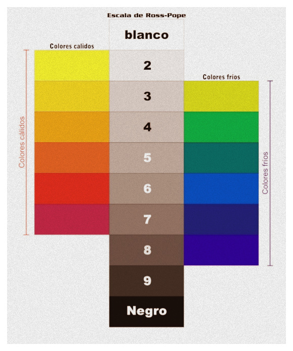 Cómo combinar colores - 10 pasos - Talento Doncomos.com