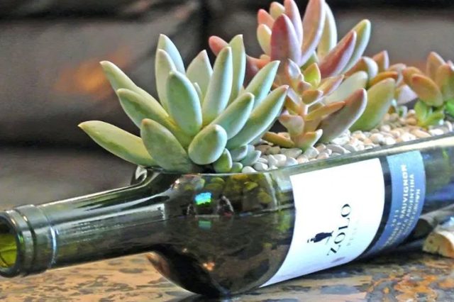 Cómo hacer macetas con botellas - 11 pasos - Talento Doncomos.com