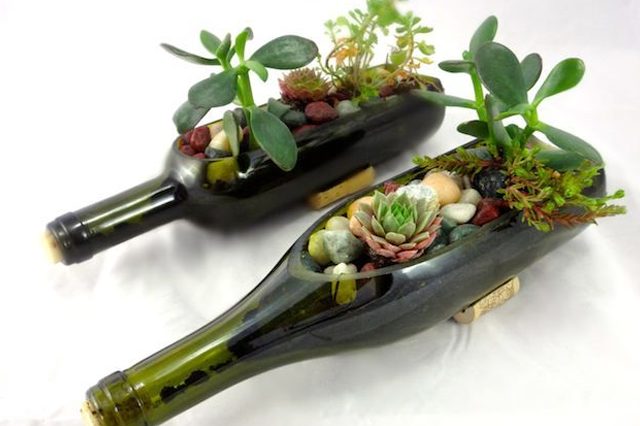 Cómo hacer macetas con botellas - 11 pasos - Talento Doncomos.com