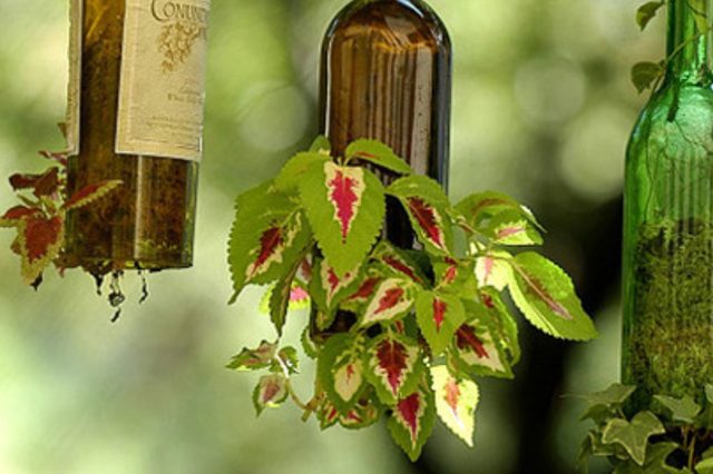 Cómo hacer macetas con botellas - 11 pasos - Talento Doncomos.com