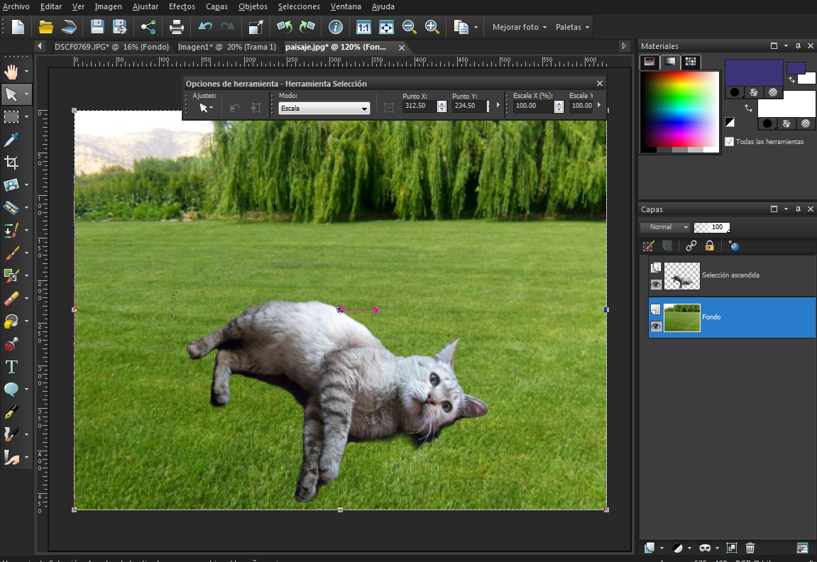 Cómo hacer un fotomontaje - 10 pasos - Tecnología Doncomos.com